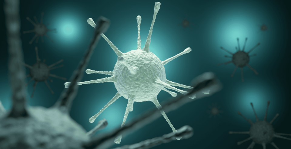Infection Prevention | Green Facilities
